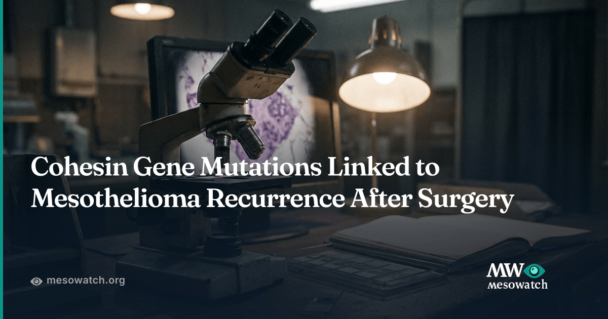 Cohesin Gene Mutations Linked to Mesothelioma Recurrence After Surgery ...